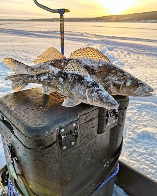 Каталог товаров Волжанка | VolzhankaFishing